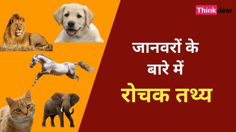 Amazing Facts About Animals In Hindi Amazing Facts About Animals In Hindi